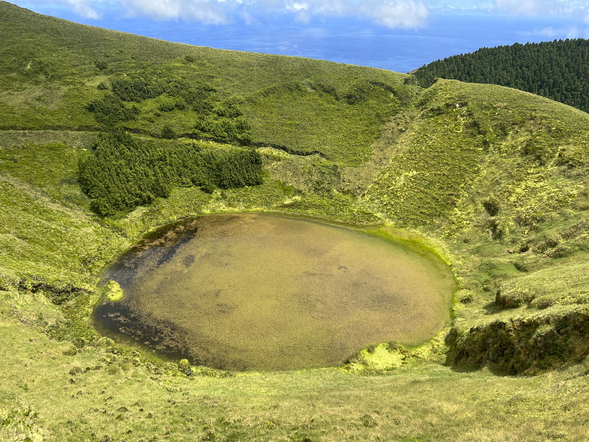 Tour 14 – Lagoas Empadadas - Wandelgids voor de Azoren