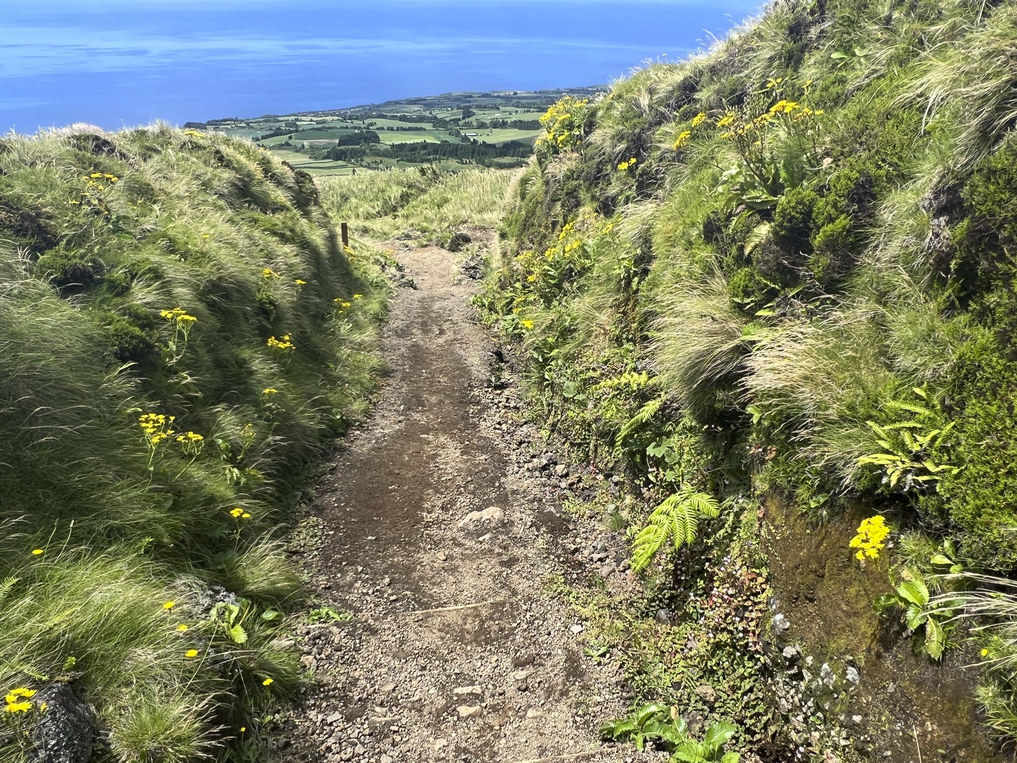 Tour 14 – Lagoas Empadadas - Wandelgids voor de Azoren