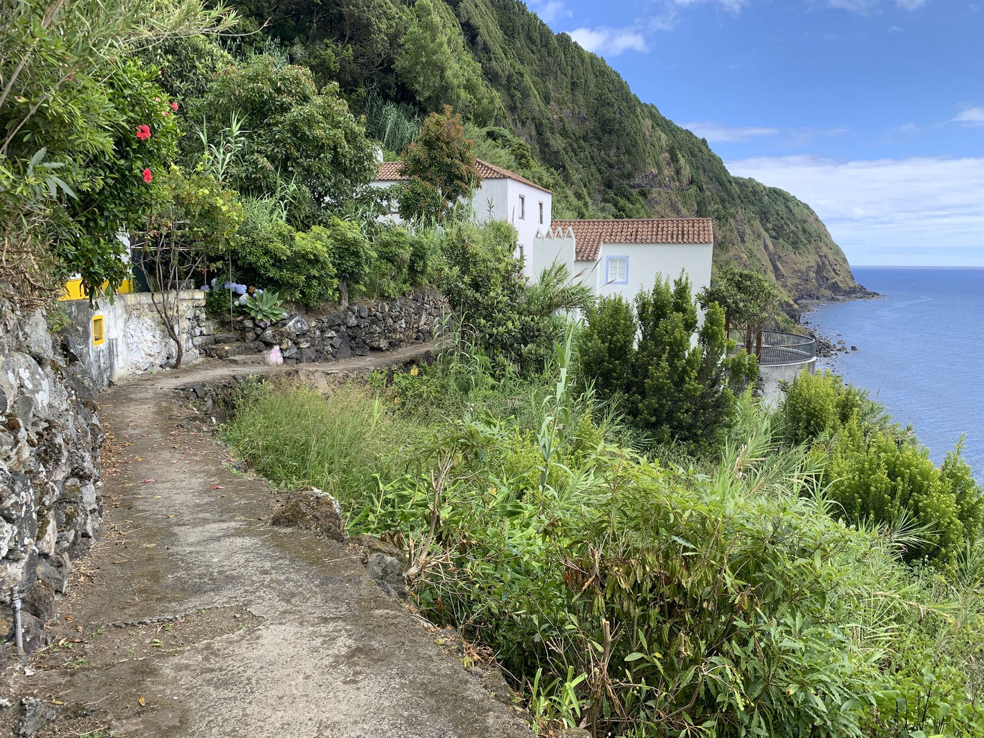 Tour 29 – Fajã do Araújo - Wandelgids van de Azoren