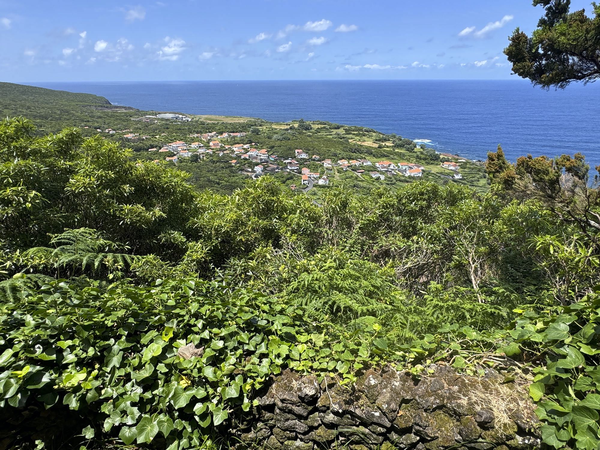 Tour 59 – Van Praia do Norte naar Norte Pequeno - Wandelgids voor de Azoren