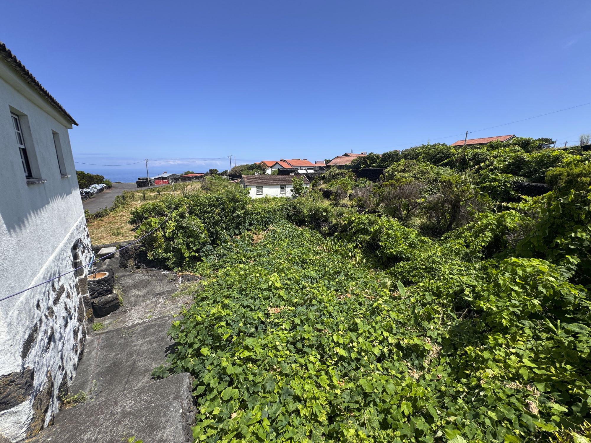 Tour 65 – Fajã da Ribeira da Areia - Wandelgids voor de Azoren