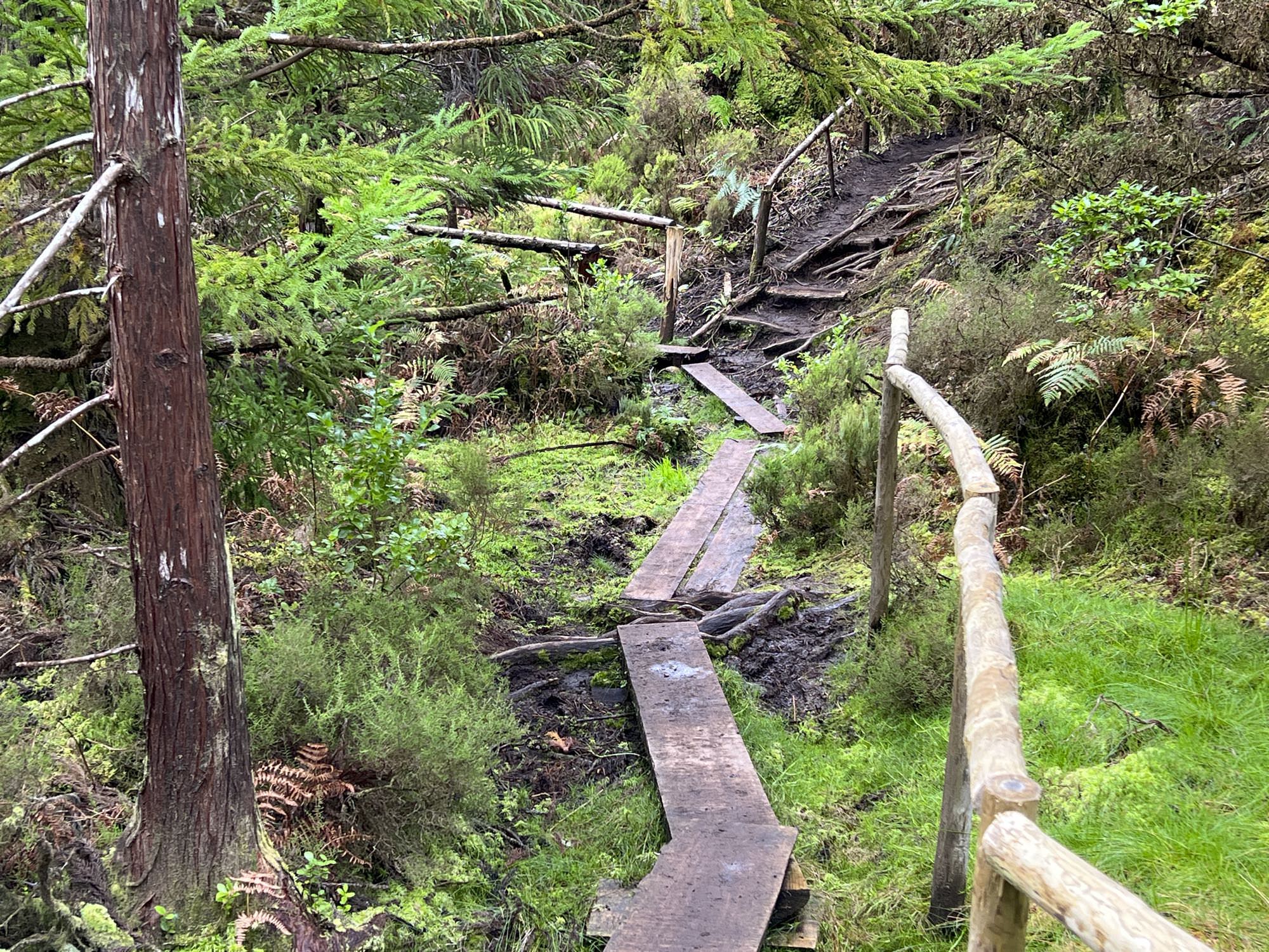Tour 78 – Mysterios Negros - Wandelgids Azoren